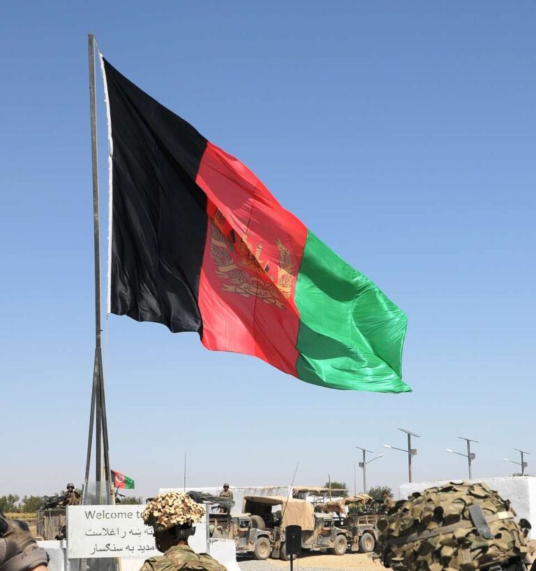 Government explores compulsory digital ID scheme as part of illegal ...